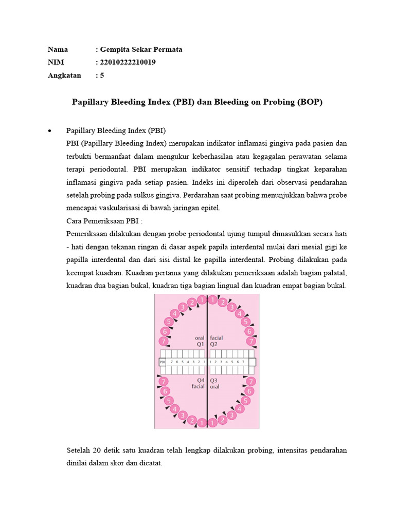 Perbedaan PBI Dan BOP | PDF