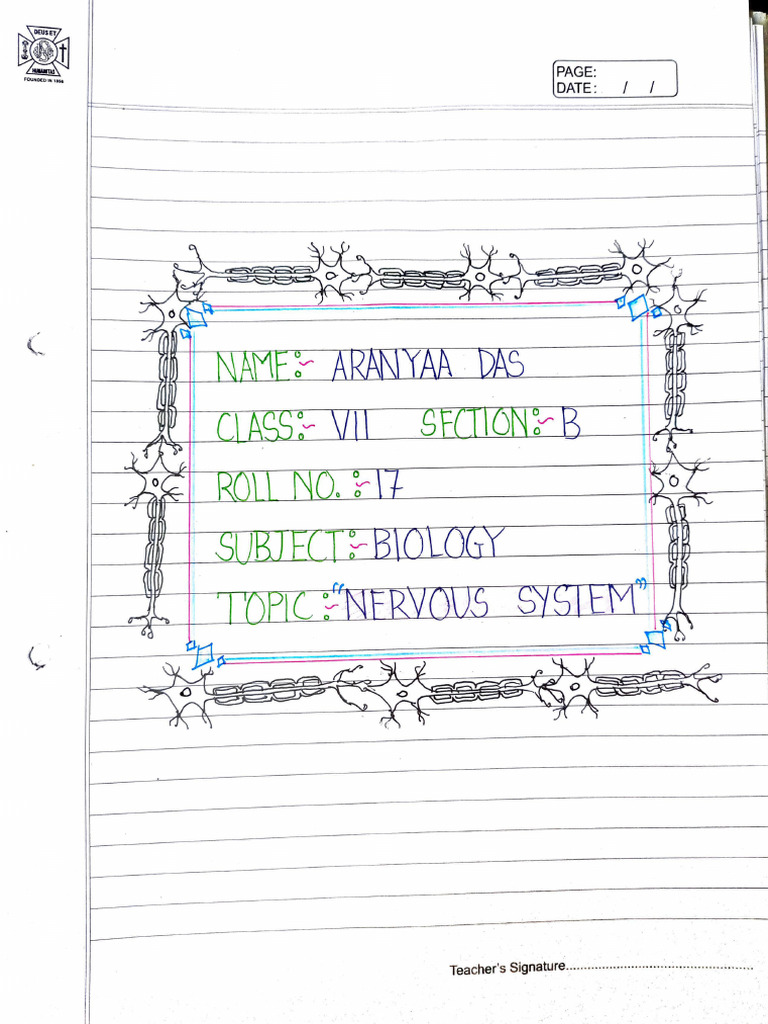 Aranyaa Dad 7B 17 Biology Project. | PDF | Neuroanatomy | Nervous System