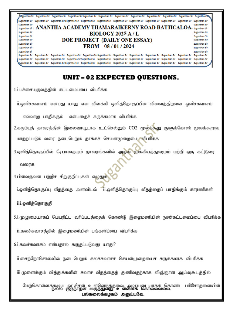 2025 Doe Project 01 | PDF