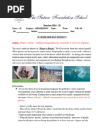 Grade 3 Pollution Project | PDF