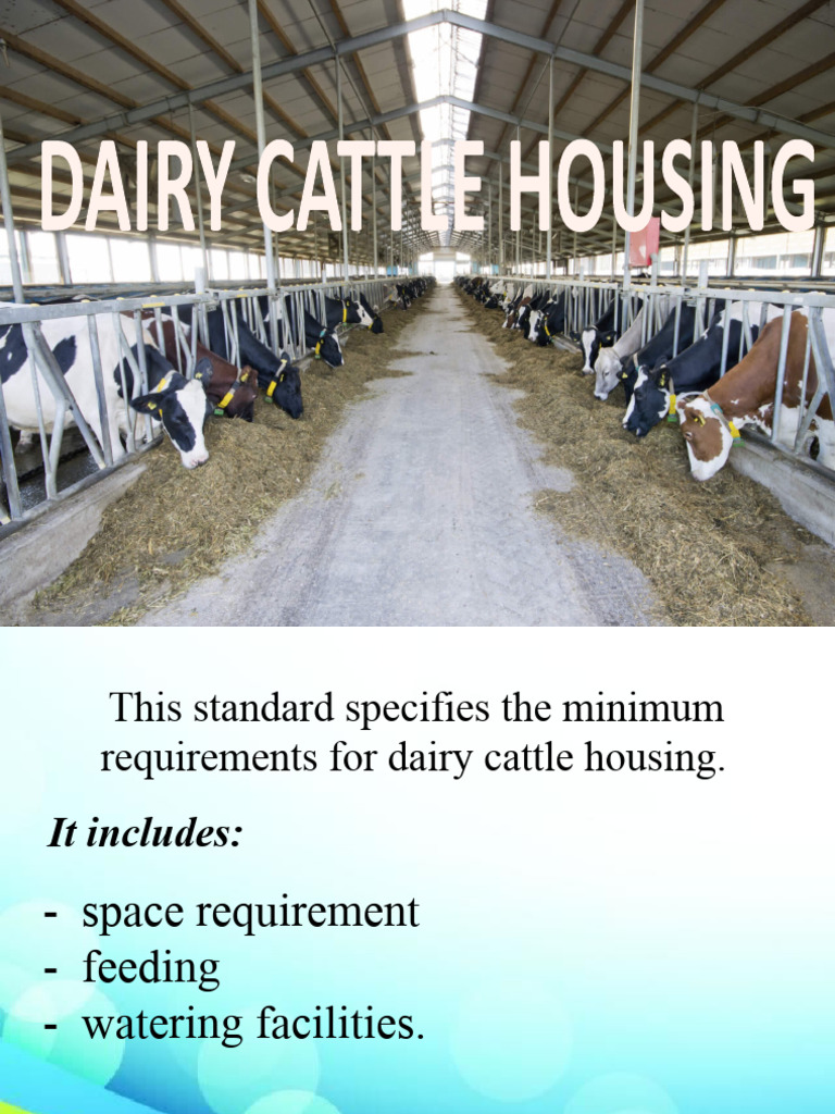 Cattle Farm Structure | PDF | Cattle | Roof