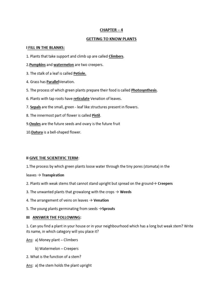 Class 6 Notes on Plant Biology | PDF | Leaf | Flowers