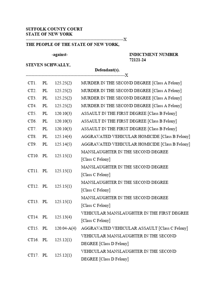 Indictment of Steven Schwally | PDF | Criminal Law | Assault