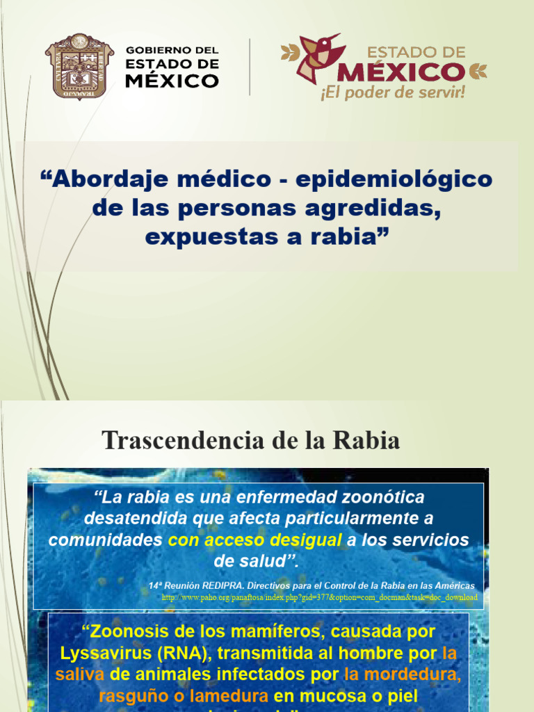 Presentacion Rabia 2024 Alex | PDF | Rabia