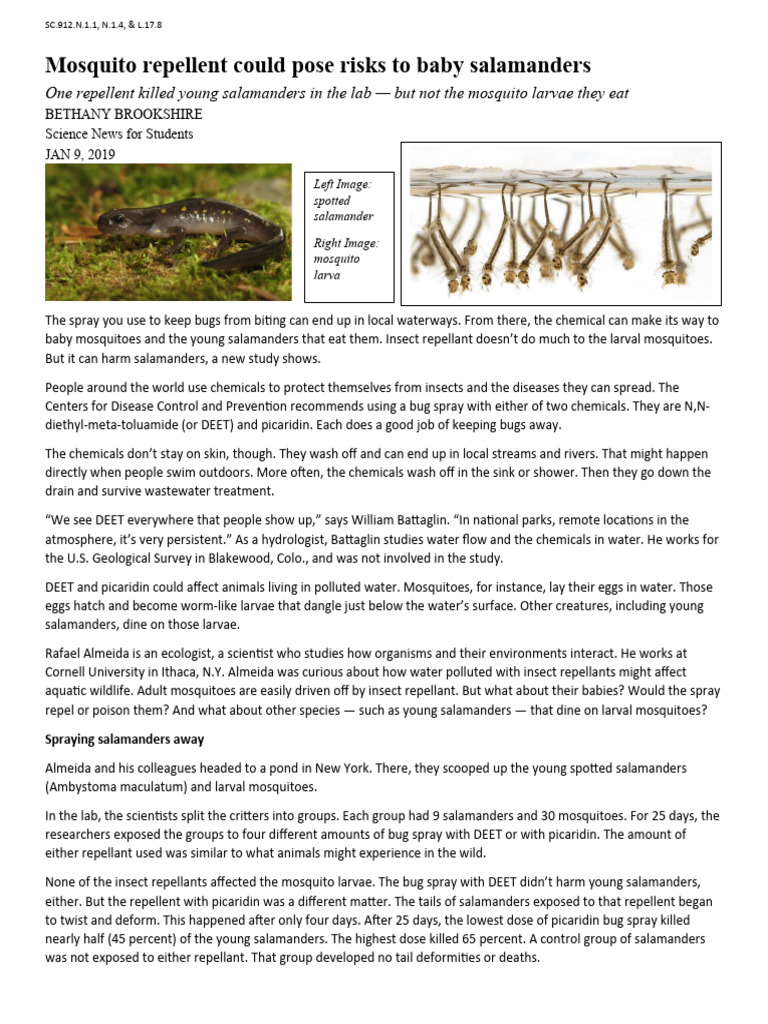 Article - Mosquito Repellent Could Pose Risks To Baby Salamanders | PDF ...