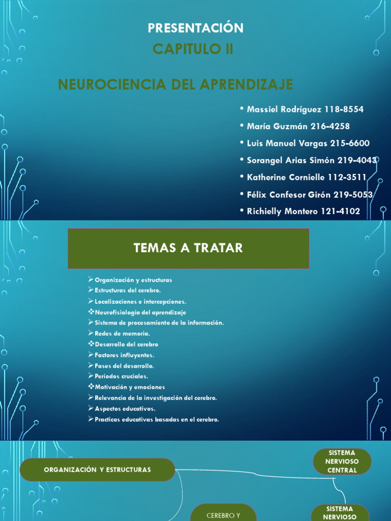 Presentacion Capitulo Ii Neurociencia Del Aprendizaje | PDF | Cerebro | Aprendizaje