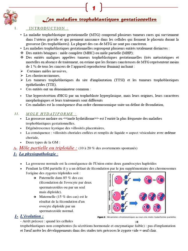 Môle hydatiforme : caractéristiques et gestion | PDF | Reproduction ...