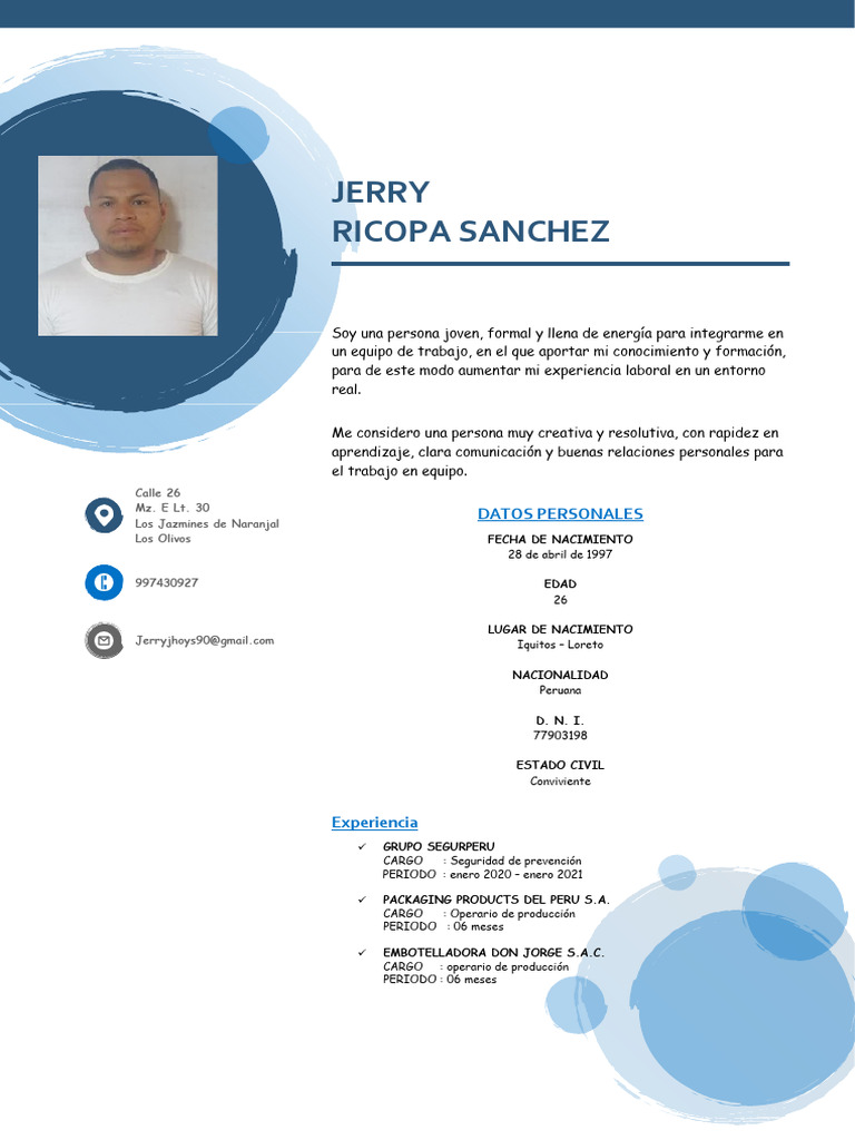 CV Jerry | PDF