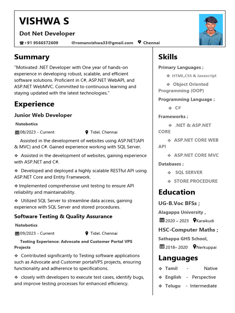 Resume Vishwa3 | PDF | Microsoft Sql Server | Active Server Pages