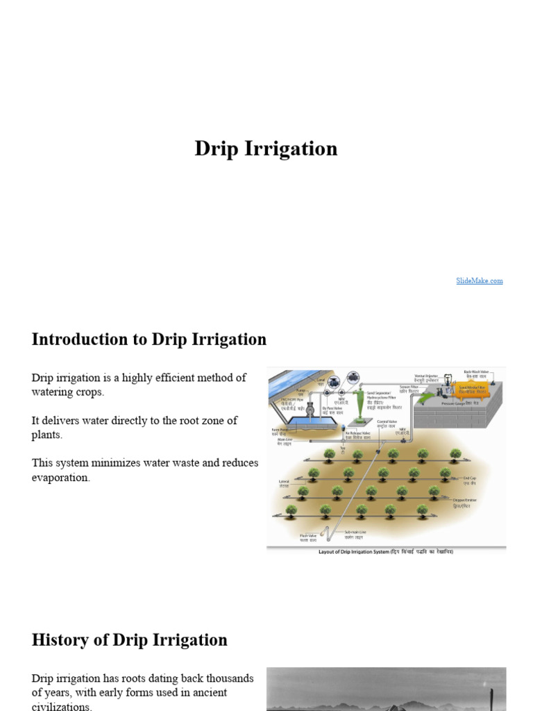 Drip Irrigation | PDF | Irrigation | Agriculture