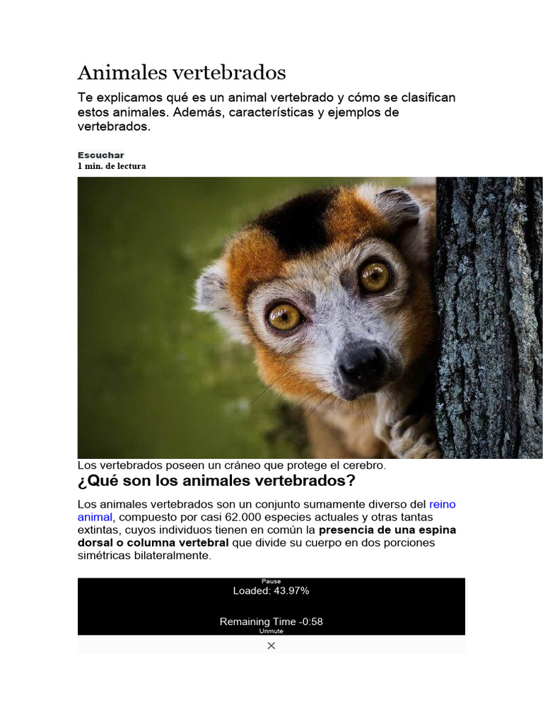 Clasificación y ejemplos de vertebrados | PDF | Vertebrados | Pescado