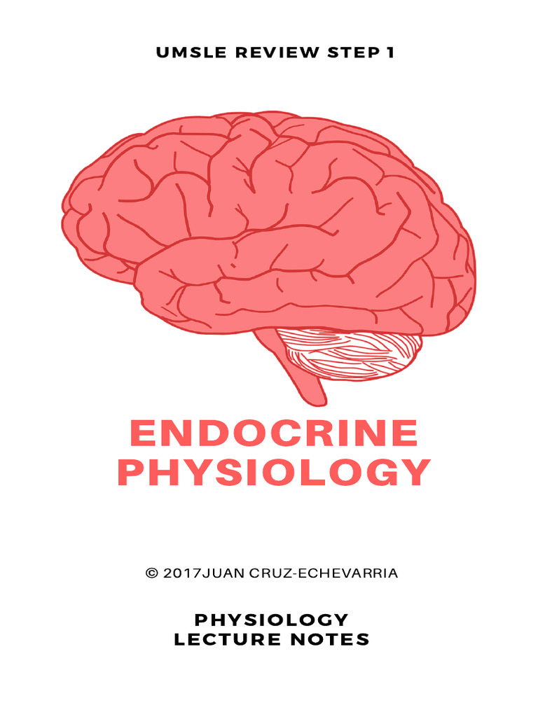 Endocrine Physiology Juan Notes | PDF | Endocrine System | Adrenal Gland