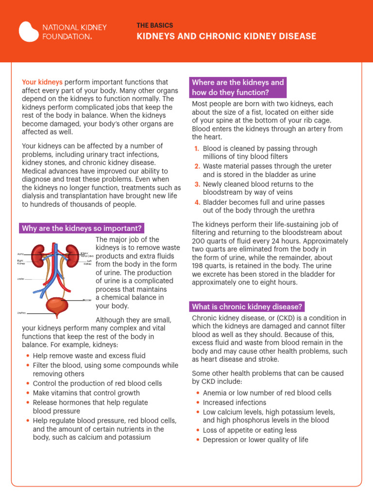 Kidneys and Chronic Kidney Disease | PDF | Chronic Kidney Disease ...