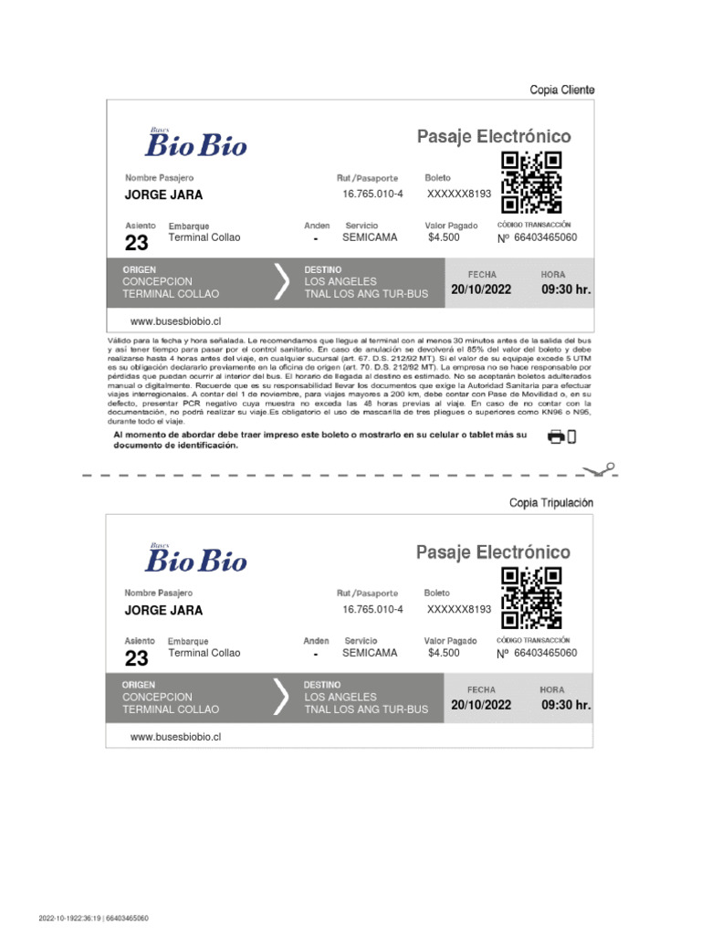 Modelo Pasaje 2 | PDF | Tecnología bancaria | Pagos