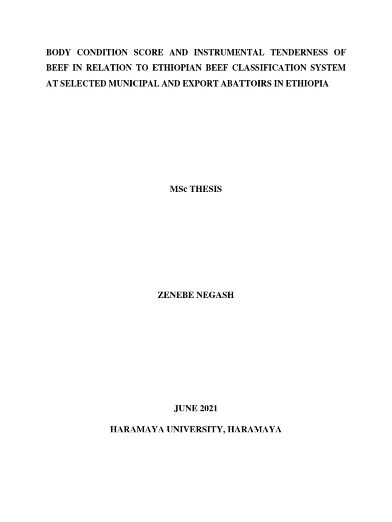 Zenebe Negash | PDF | Thesis | Master Of Science