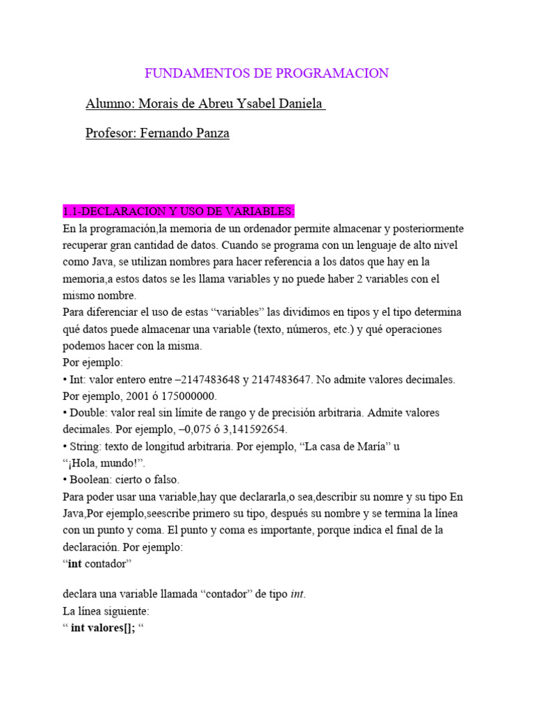 Profe Panza | PDF | Variable (informática) | Java (lenguaje de programación)