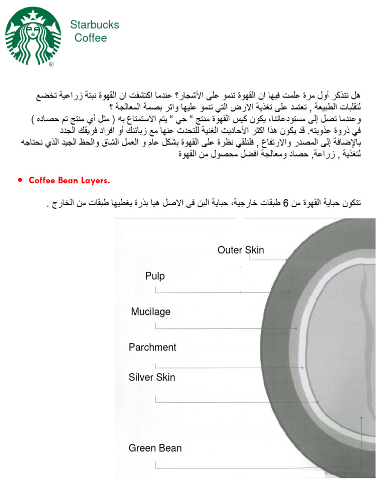 Basic Information of Coffee | PDF