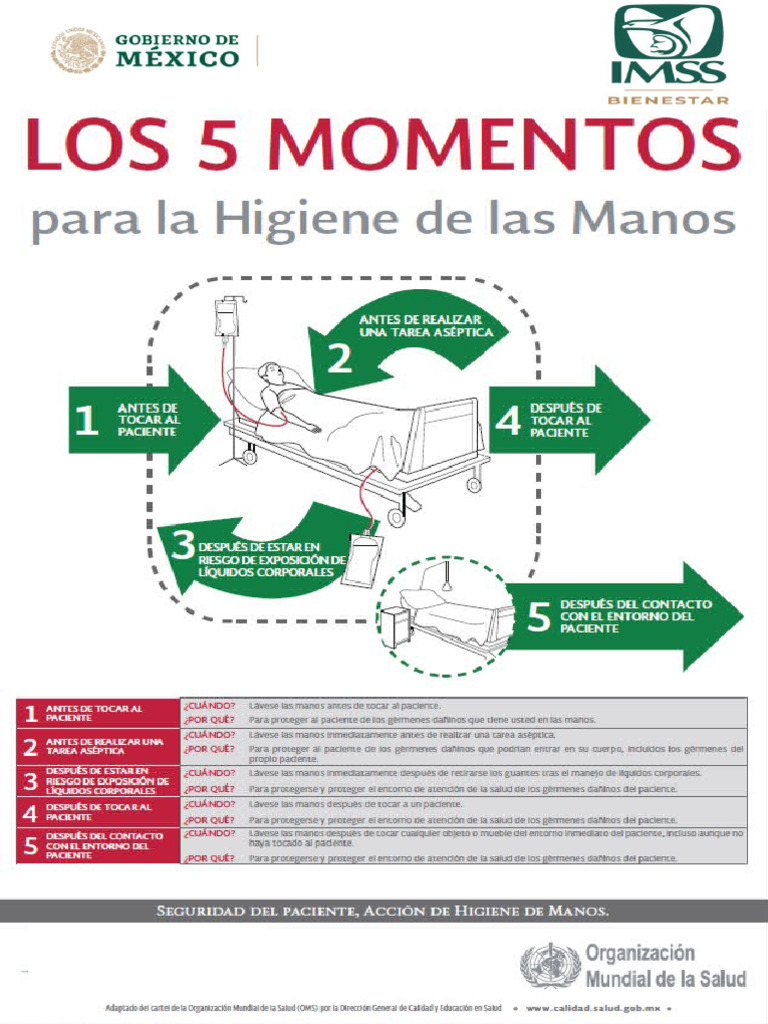 Cartel 5 Momentos Lavado de Manos | PDF