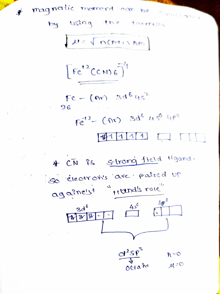 Scan 20240801 234116450 | PDF