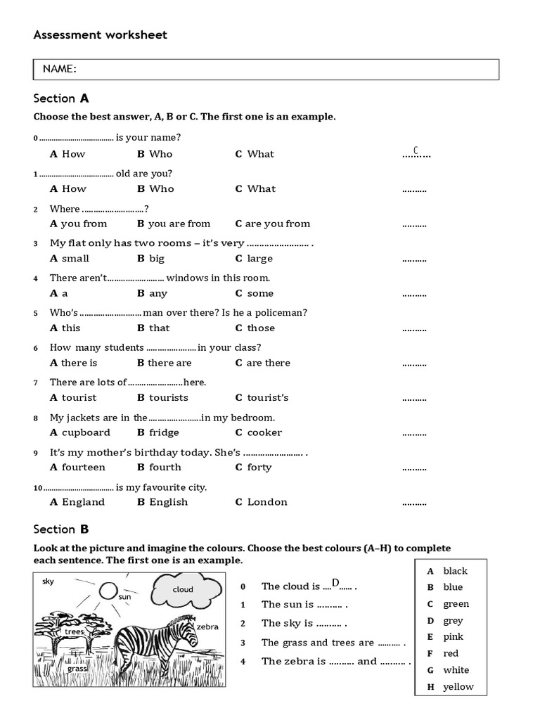 Assessment Worksheet | PDF
