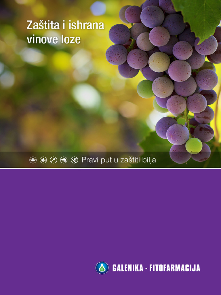 Galenika Fitofarmacija Program Zastite Vinove Loze 2018 | PDF
