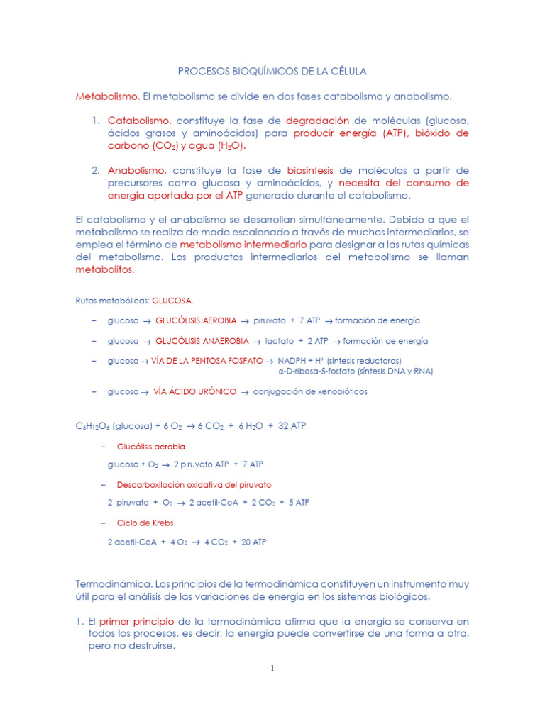 Bii Procesos Bioquímicos de La Célula Primavera 2024 | PDF | Trifosfato de adenosina | Dieta y ...