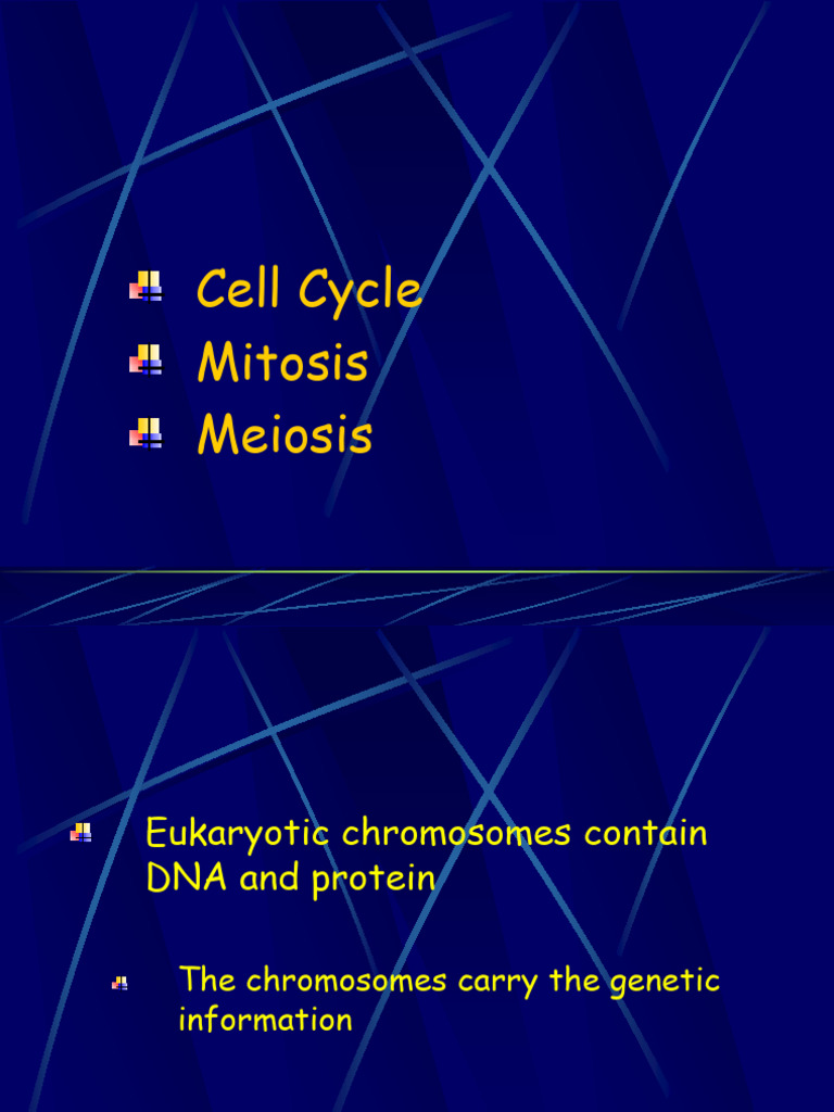 Cell Cycle | PDF | Mitosis | Ploidy