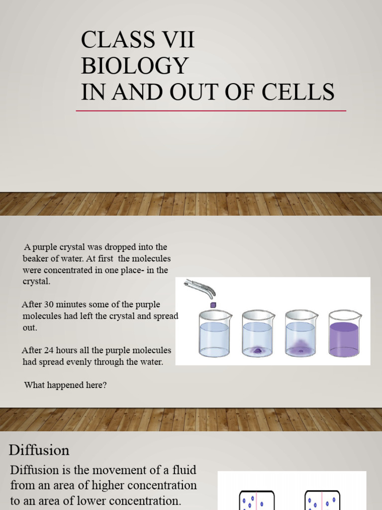 Class VII Biology in and Out of Cells 2021-22 | PDF | Osmosis | Biophysics