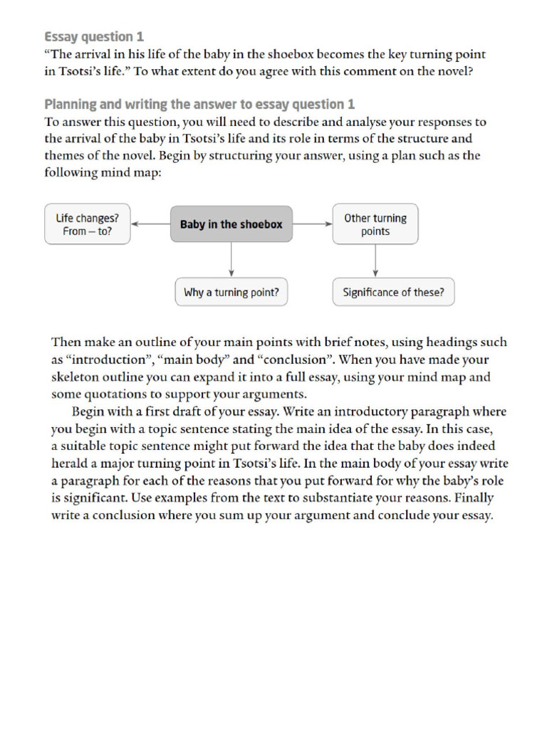 Tsotsi Essay Topic & Memo | PDF