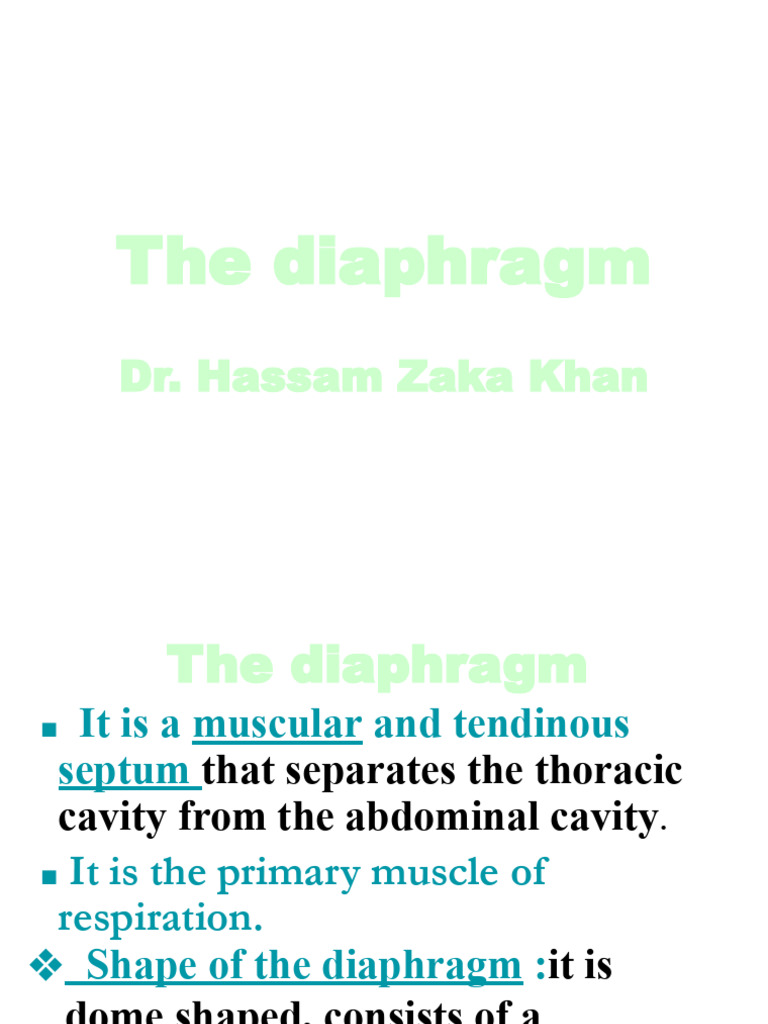 Anatomy and Function of the Diaphragm | PDF | Musculoskeletal System ...