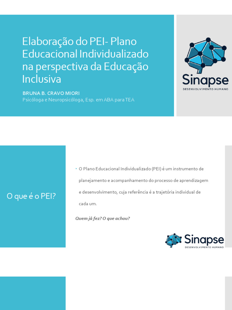 PEI: Guia para Educação Inclusiva | PDF | Educação Especial | Pedagogia
