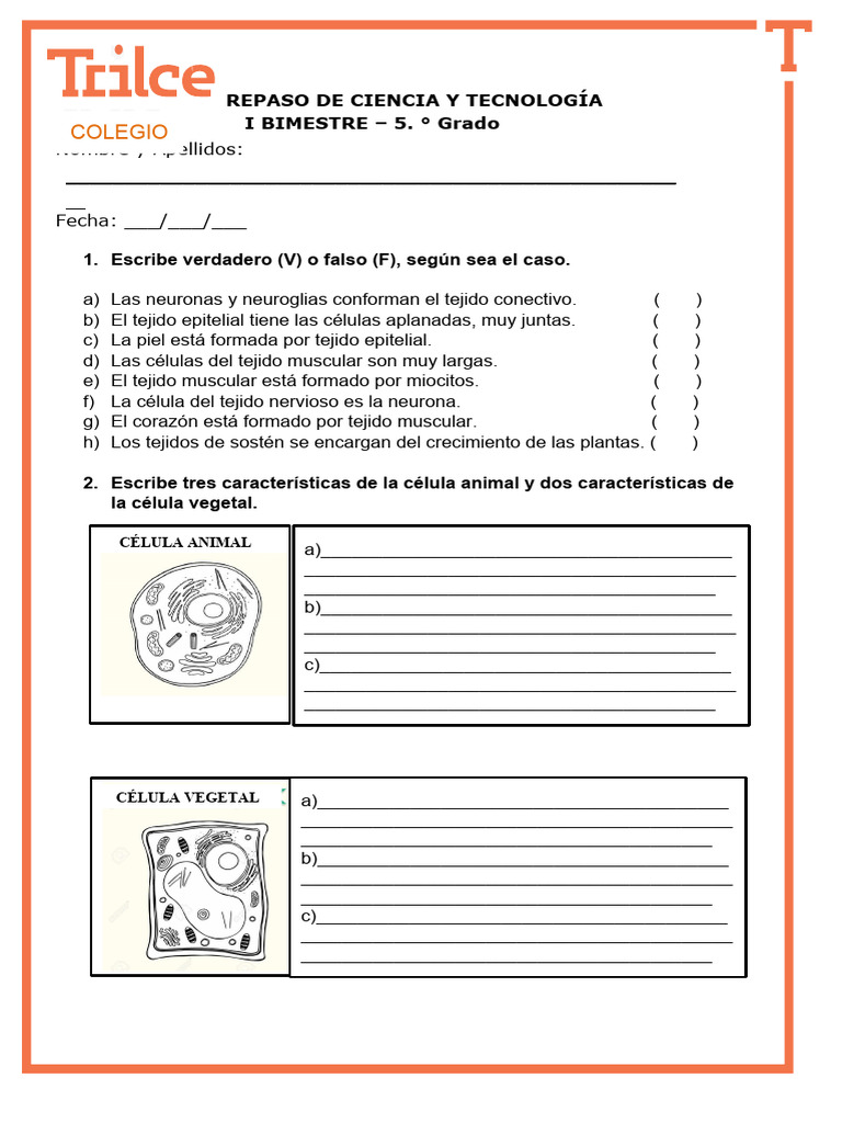 Repaso de Ciencia y Tecnología 5to. | PDF | Tejido (biología) | Histología