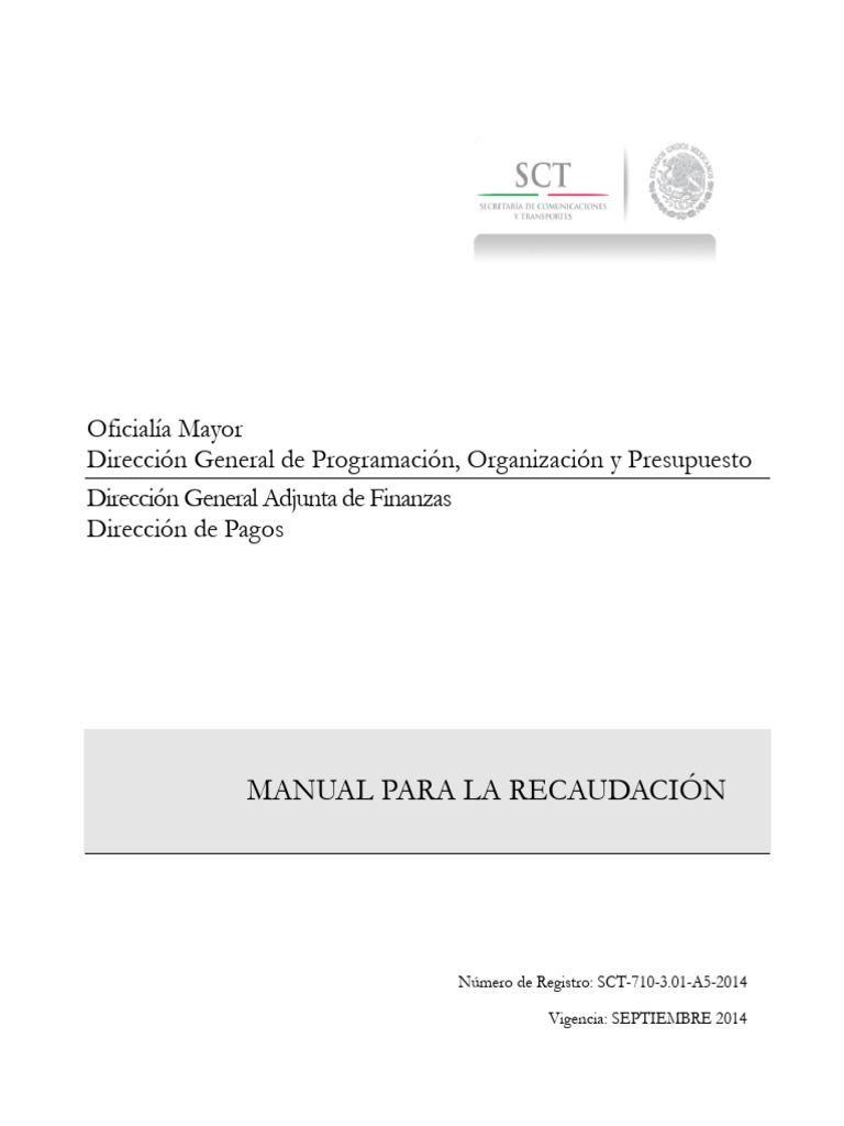 Manual de Recaudación 2014: Lineamientos y Procedimientos | PDF | Tarjeta de débito | Tarjeta de ...