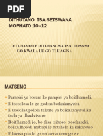 Mophato 11 Nko Ga e Dupe | PDF