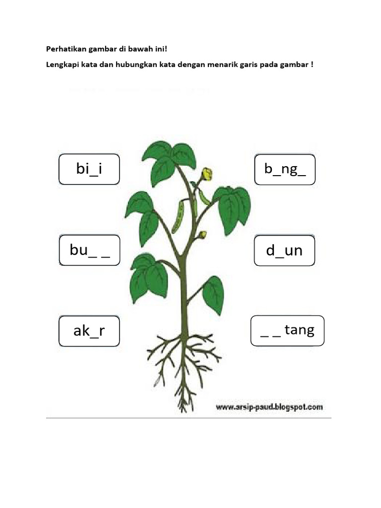 Bagian Tanaman (12x Print) | PDF