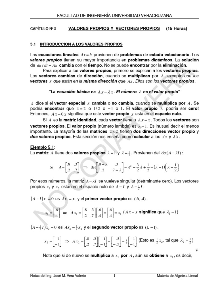Capitulo 5 Valores y Vectores Propios | PDF | Valores propios y vectores propios | Matriz ...
