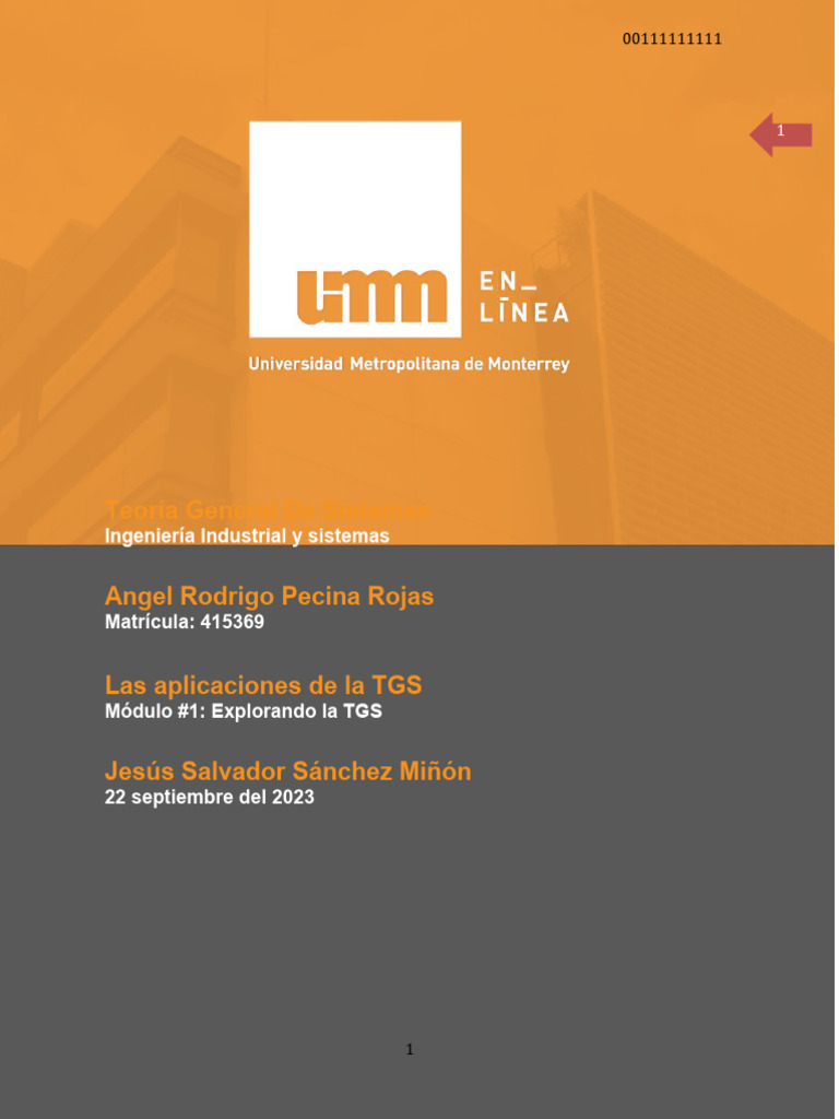 TGS Mapa | PDF | Laboratorios | Teoría de sistemas