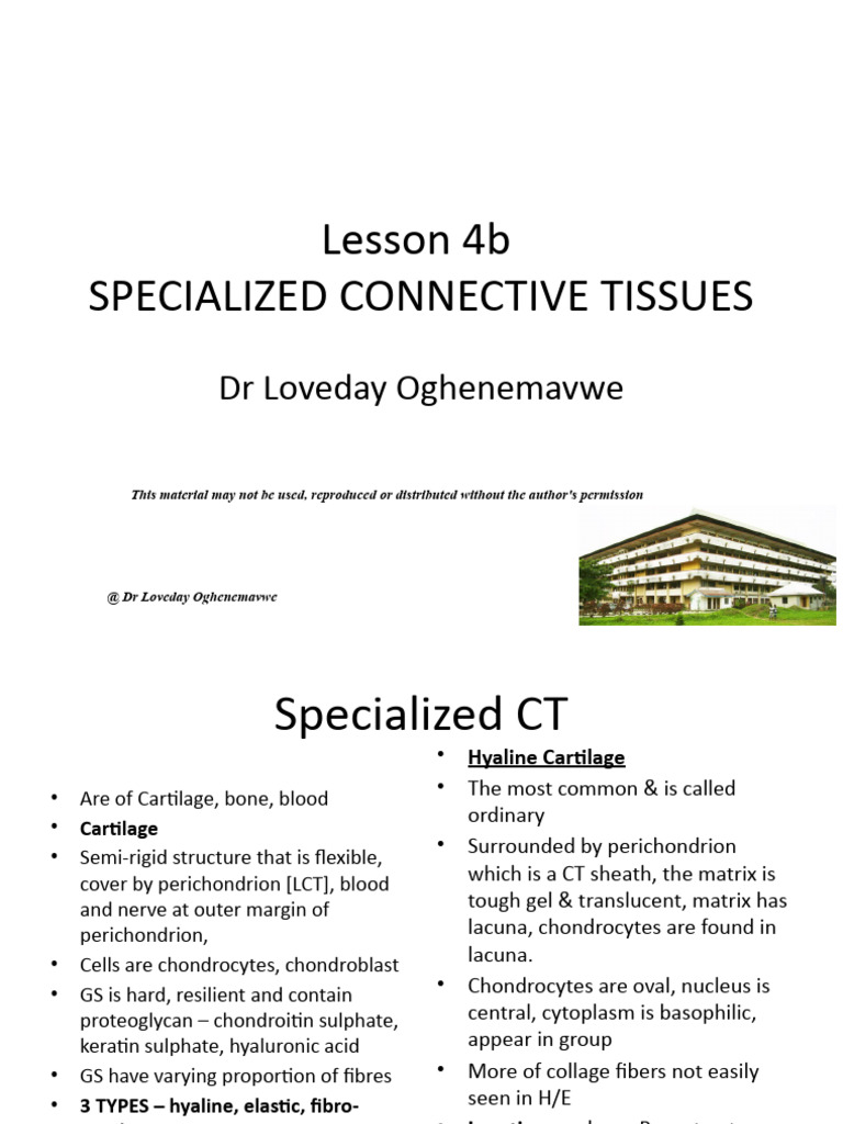 HISTOLOGY LECTURE - Specialized Connective Tissue | PDF | Bone | Osteoblast