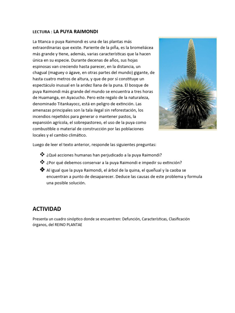 Ficha de Lectura 1ro 24 Junio | PDF