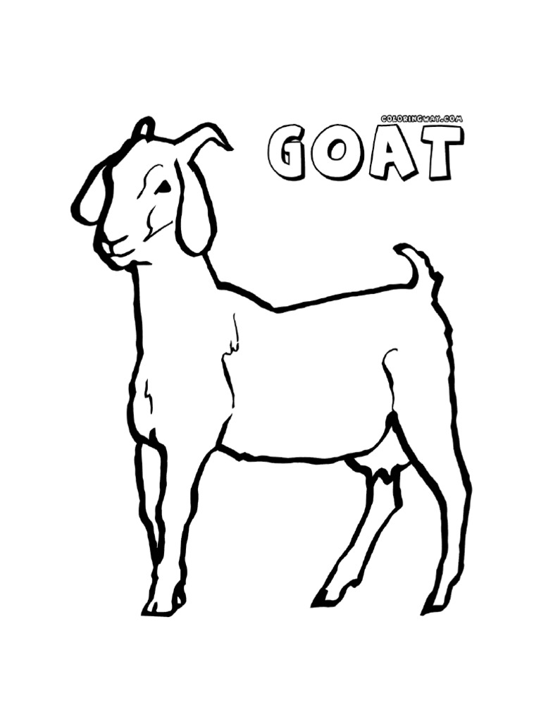 Goat | PDF