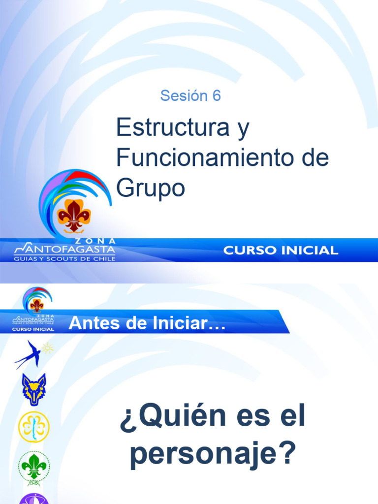 Estructura y Funcionamiento de Grupo | PDF