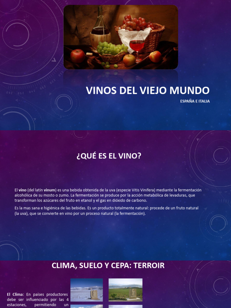 Presentacion Vinos | PDF | Vino | Fermentación