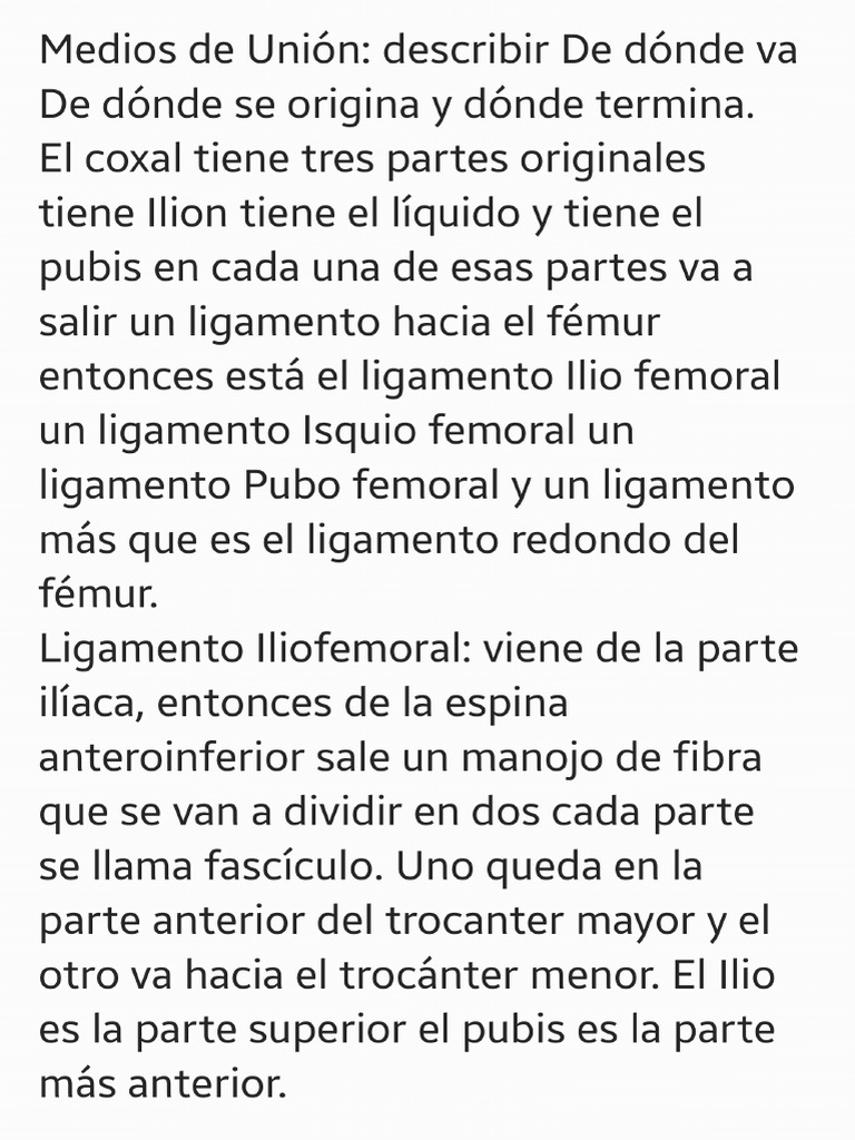 Articulación MMII | PDF