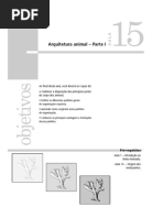 Simetria Corporal em Animais | PDF | Sistema nervoso | Corpo humano