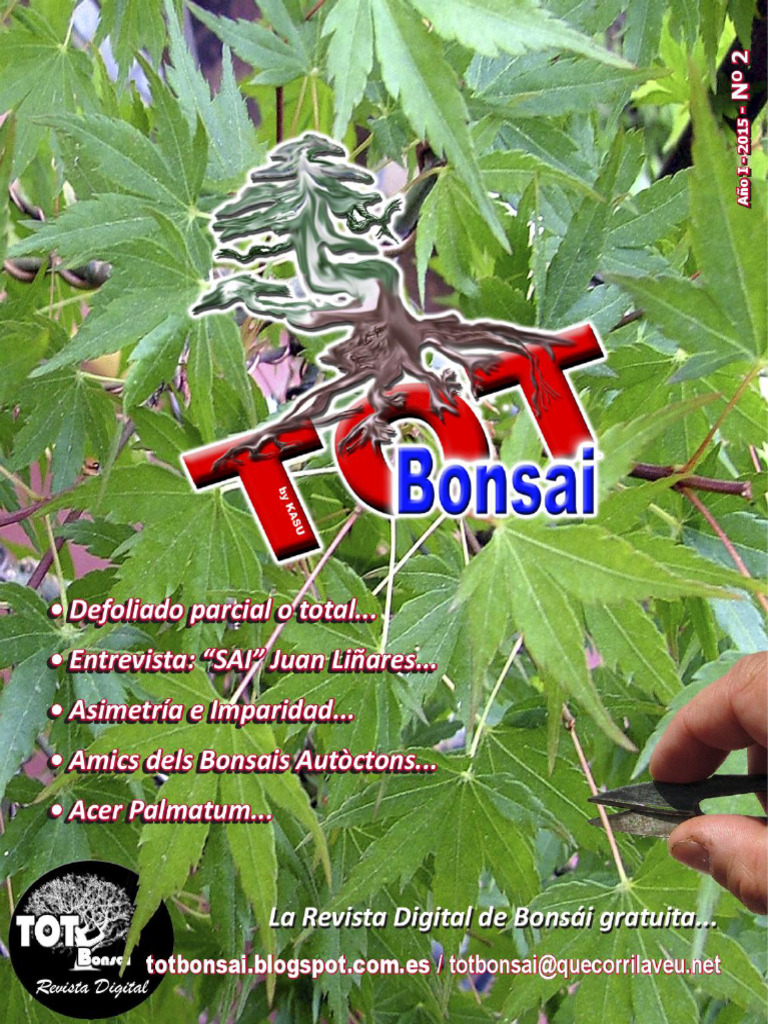 DR 2 TOT Bonsai | PDF