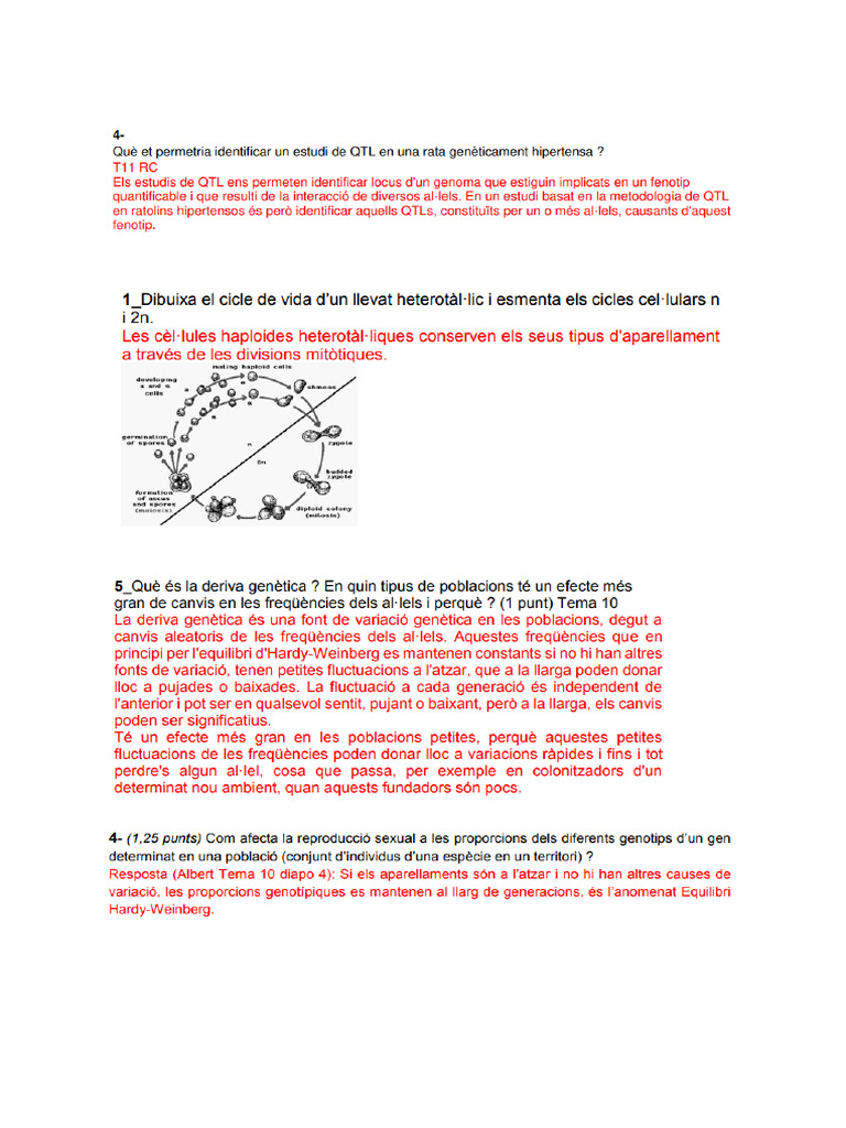 Genetica Exmen 2 | PDF