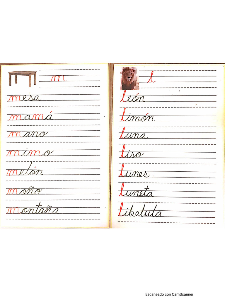 Tarjetas de Lectura y Ortografía | PDF