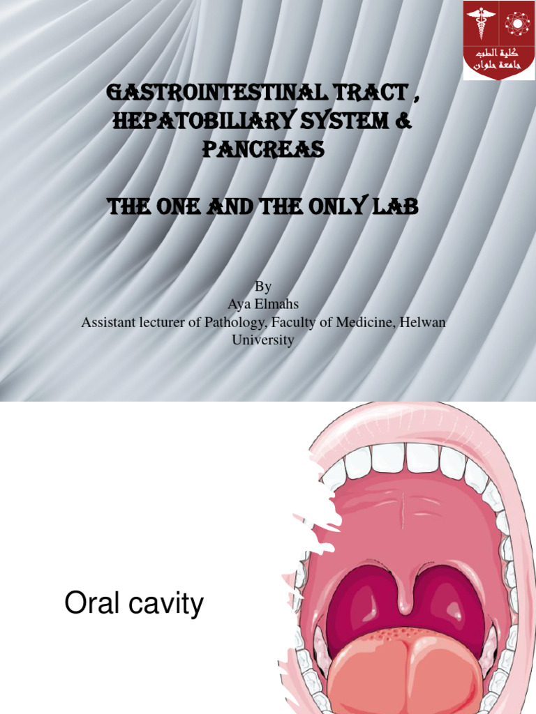 Lab 1 Patho | PDF | Esophagus | Liver