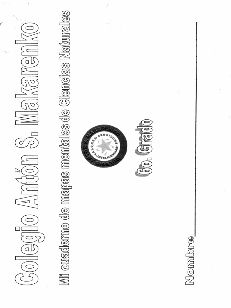 6to MAPAS MENTALES | PDF