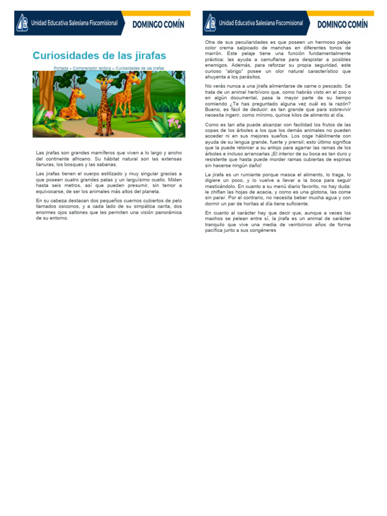 Lectura Curiosidades de Las Jirafas | PDF | Zoología